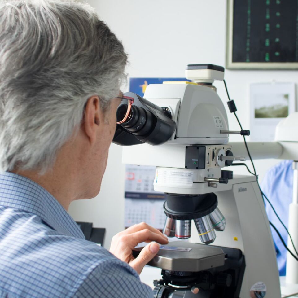 FISH & CISH - Laboruntersuchung und Diagnostik - Hämatopathologie Lübeck